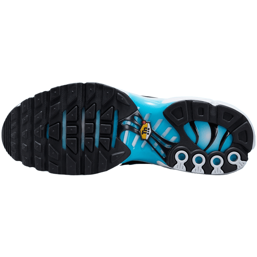 Nike TN Air Max Plus 'Baltic Blue' | FD9751-100 | McKickz